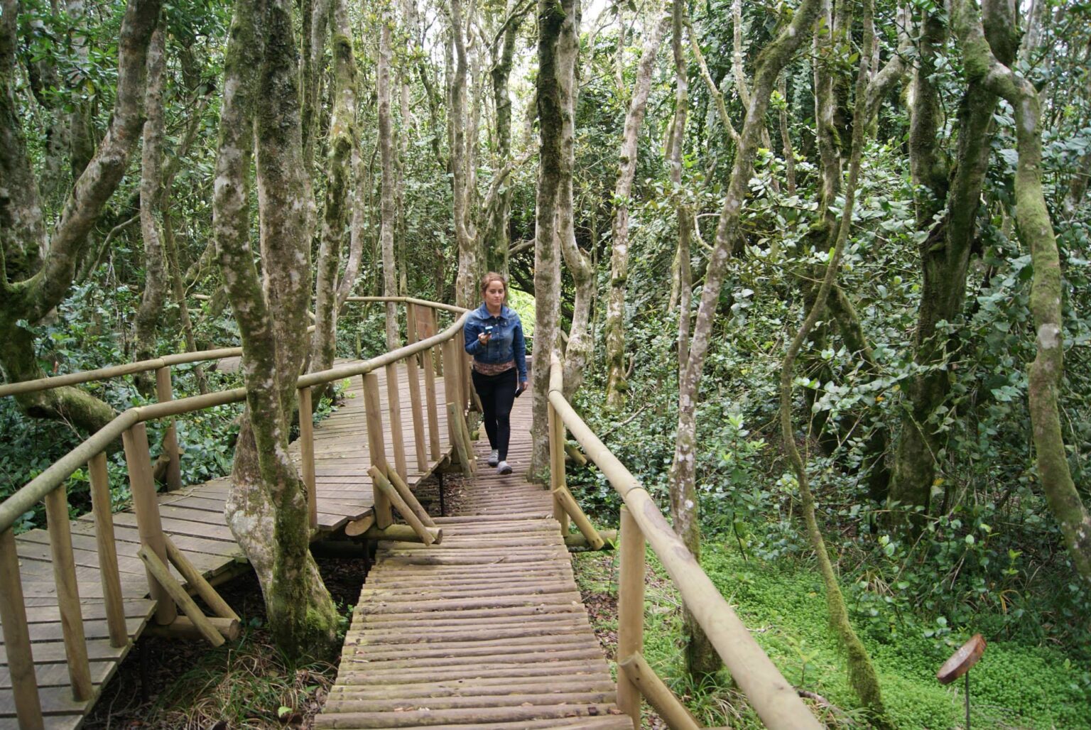 Destino Ovalle - Pluss Chile